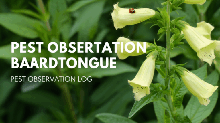 Cultivating Resilience: A Foxglove Beardtongue Garden Pest Observation Log