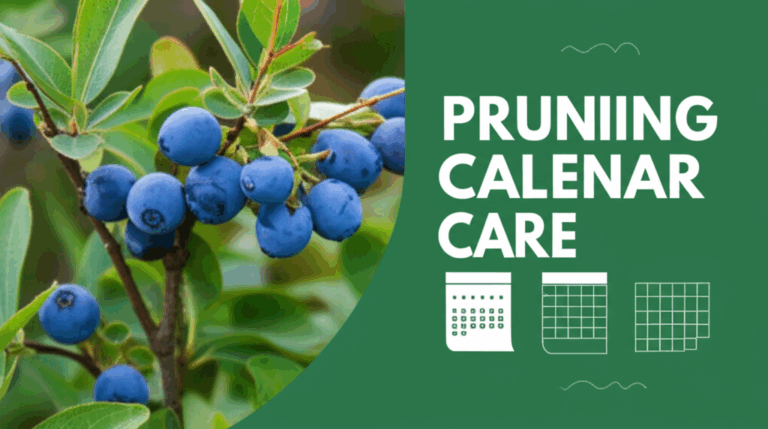 Honeyberry Shrub Pruning Calendar: Year-Round Care for Bumper Harvests