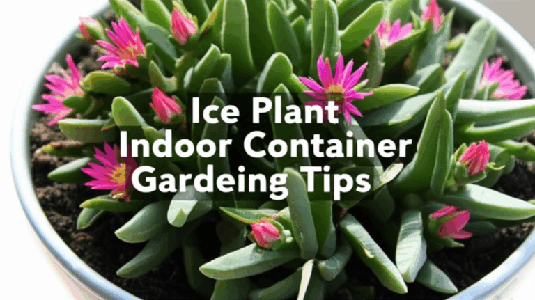 Thriving Indoors: Your Ultimate Guide to Ice Plant Succulent Container ...
